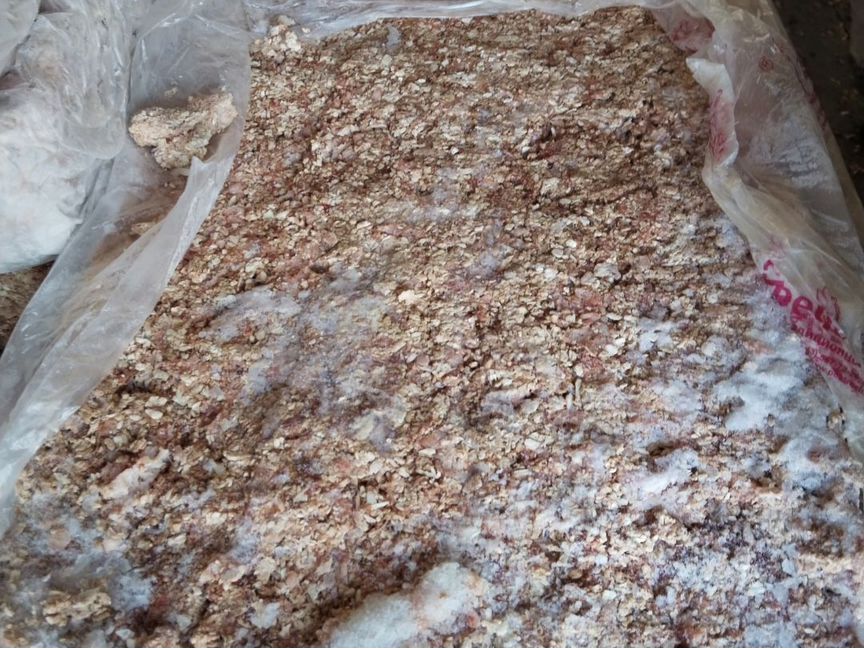 Корм для собак и кошек