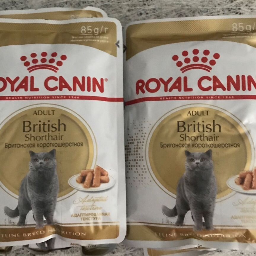 Royal canin паучи british shorthair