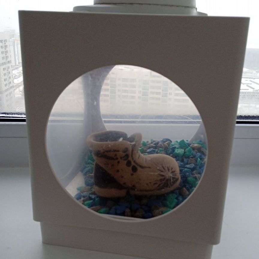 Аквариумные рыбки