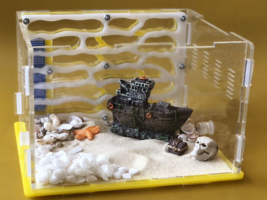 Муравьиная ферма