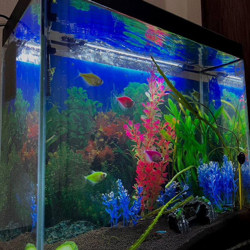 Аквариум 25 л