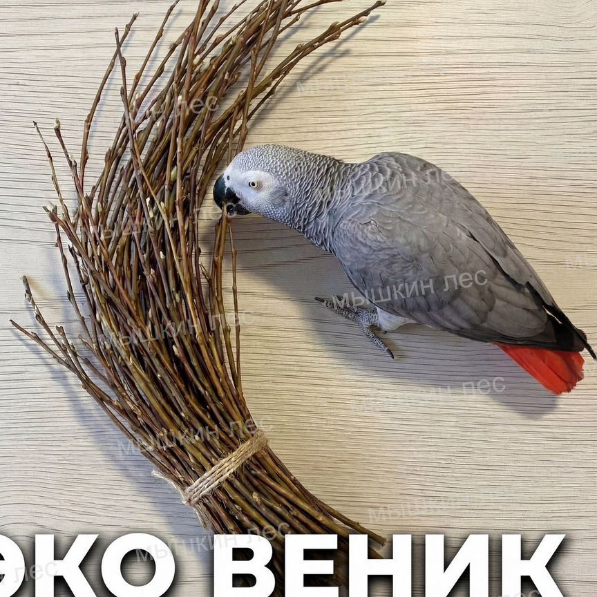 Веник погрызушка для попугаев из эко веток