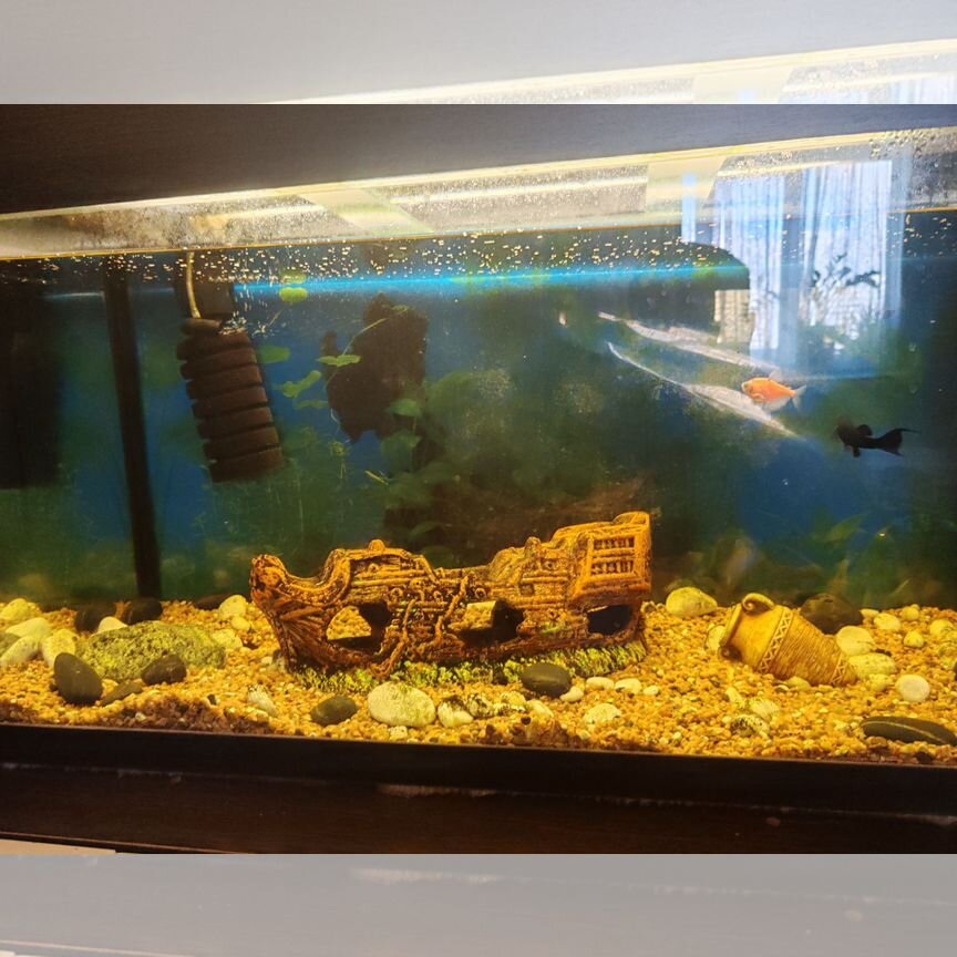 Аквариум