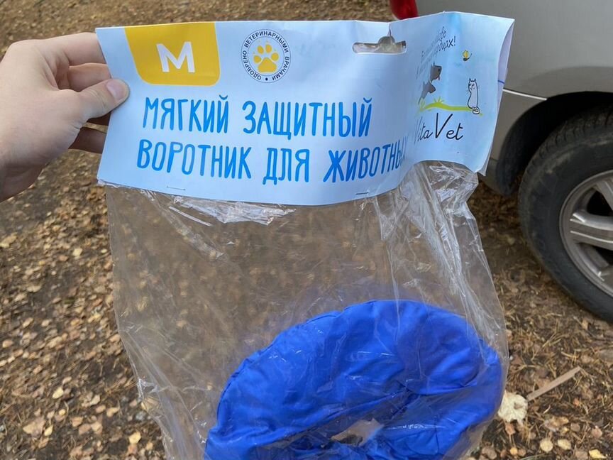Воротник кошачий