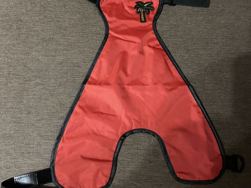 Защита живота для корги