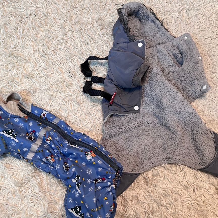 Комбинезон для маленькой собаки