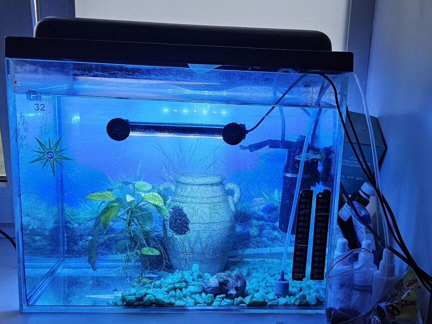 Аквариум,его обитатели и дополнения к нему