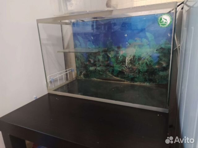 Террариум для черепахи