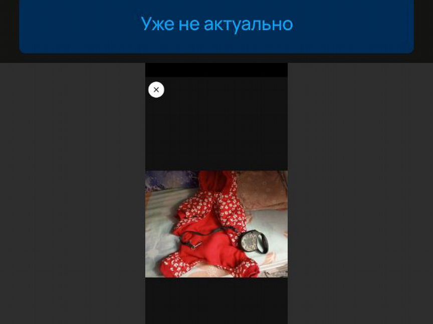 Набор ошейник поводок, костюм для собаки