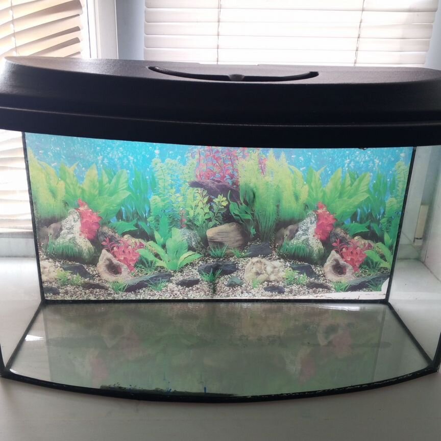 Аквариум 55 литров