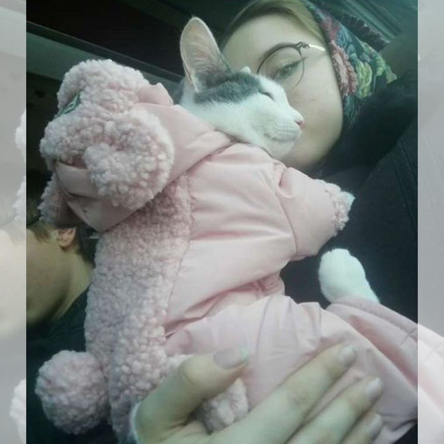 Курточка для кошки