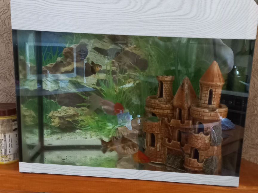 Украшение для аквариума