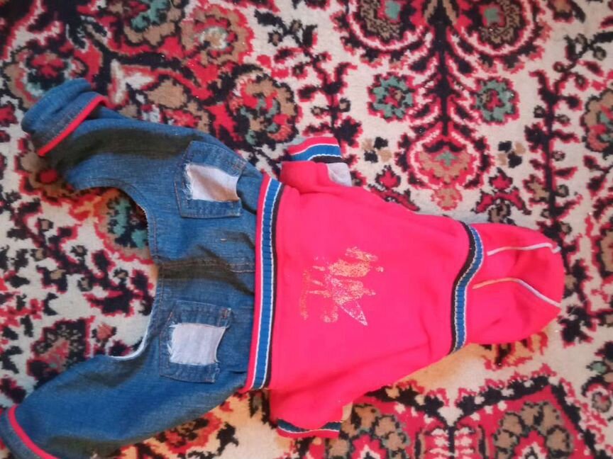 Комбинезон для маленьких собак бу