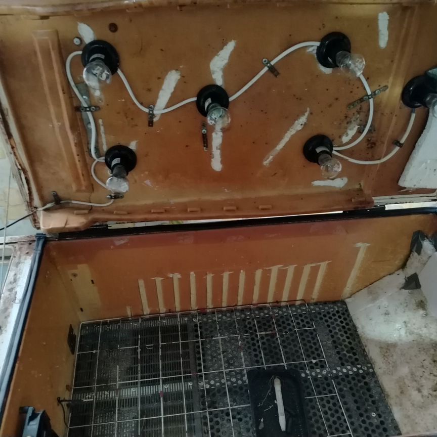 Инкубатор для яиц