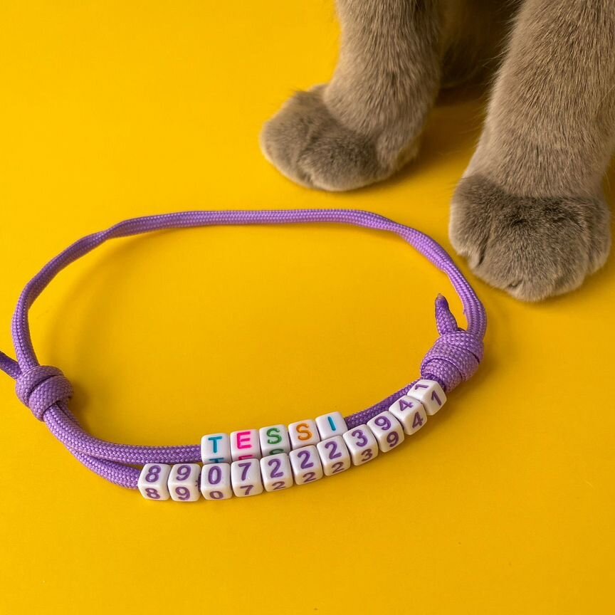 Адресник для животных