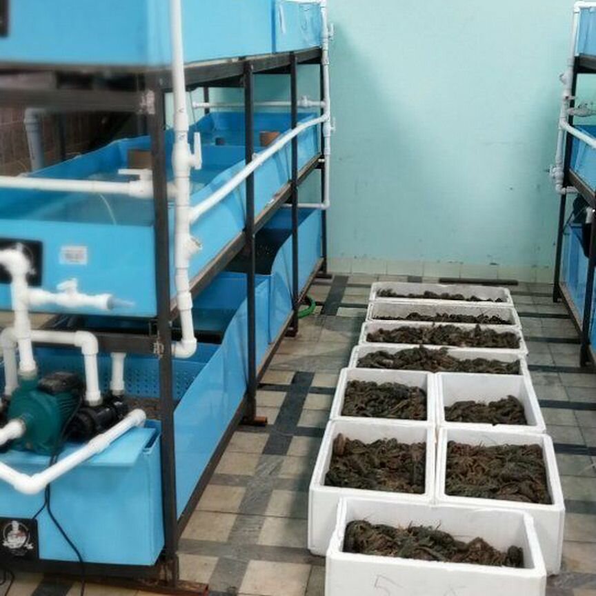 Узв для раков