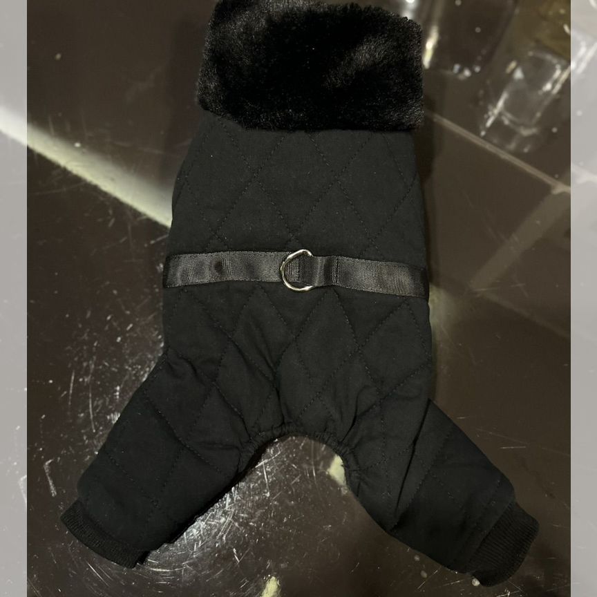 Одежда для щенков мелких пород