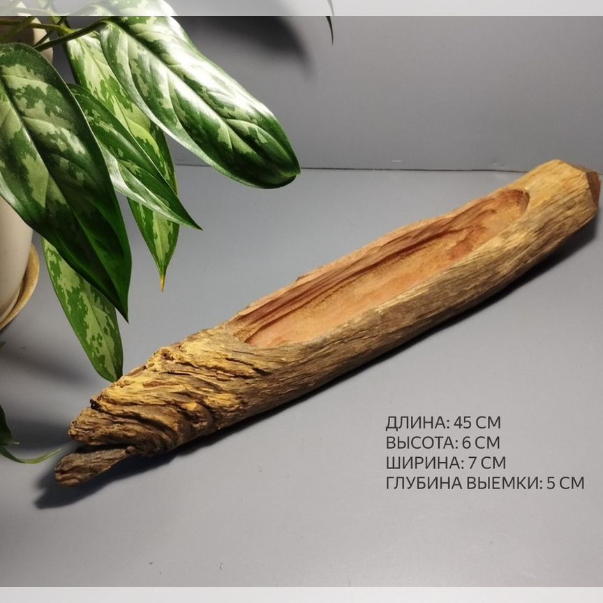 Коряга 5 натур. с отверстием для посадки растений