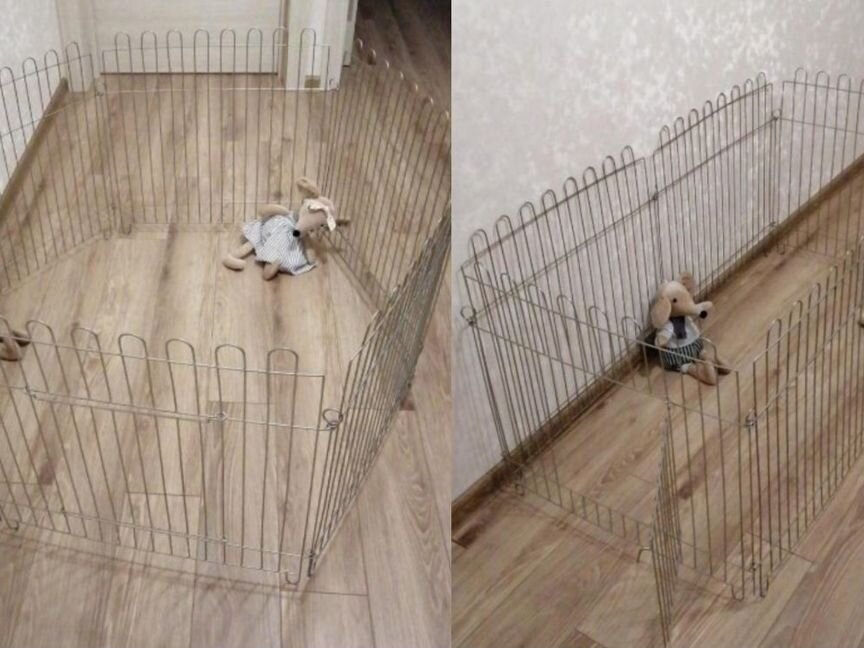 Boльeр для собак квартирный
