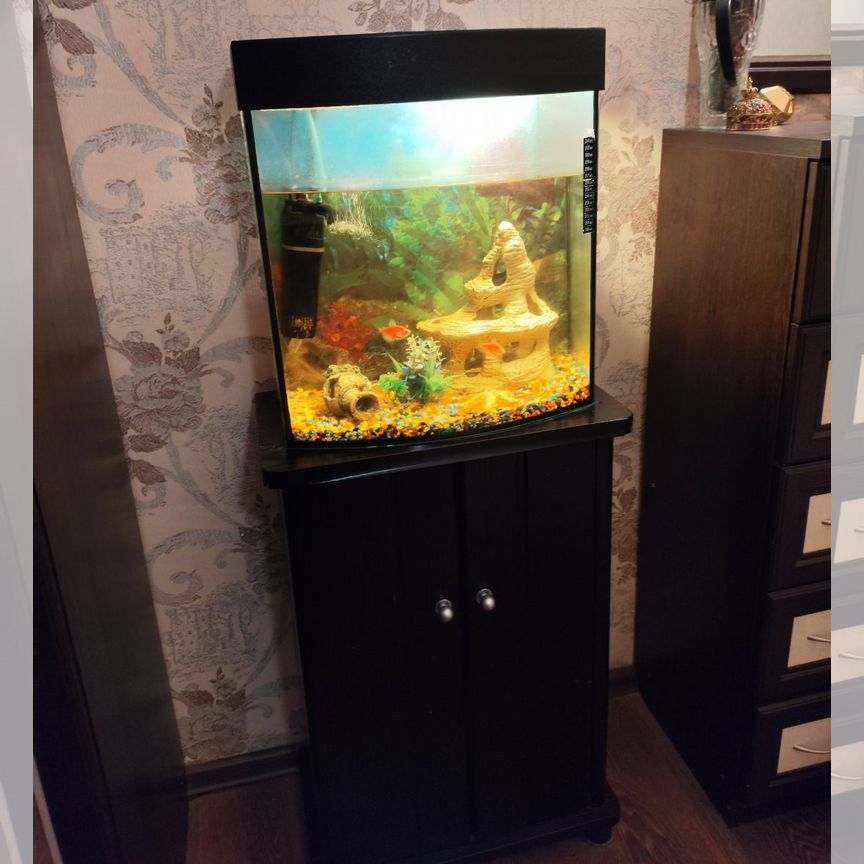 Аквариум с тумбой и рыбками