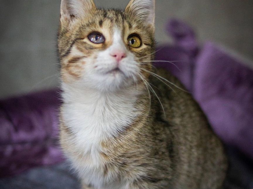 Антоша ждет свою семью