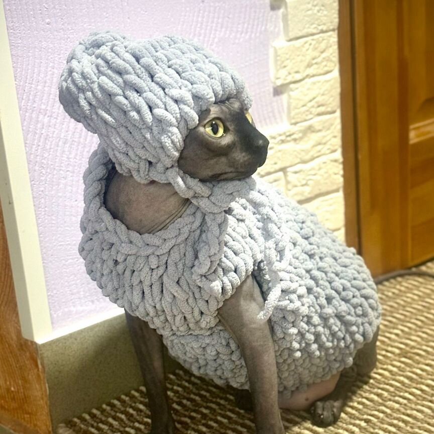 Свитер для кота собаки