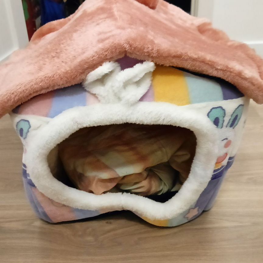 Домик для кошки или собаки