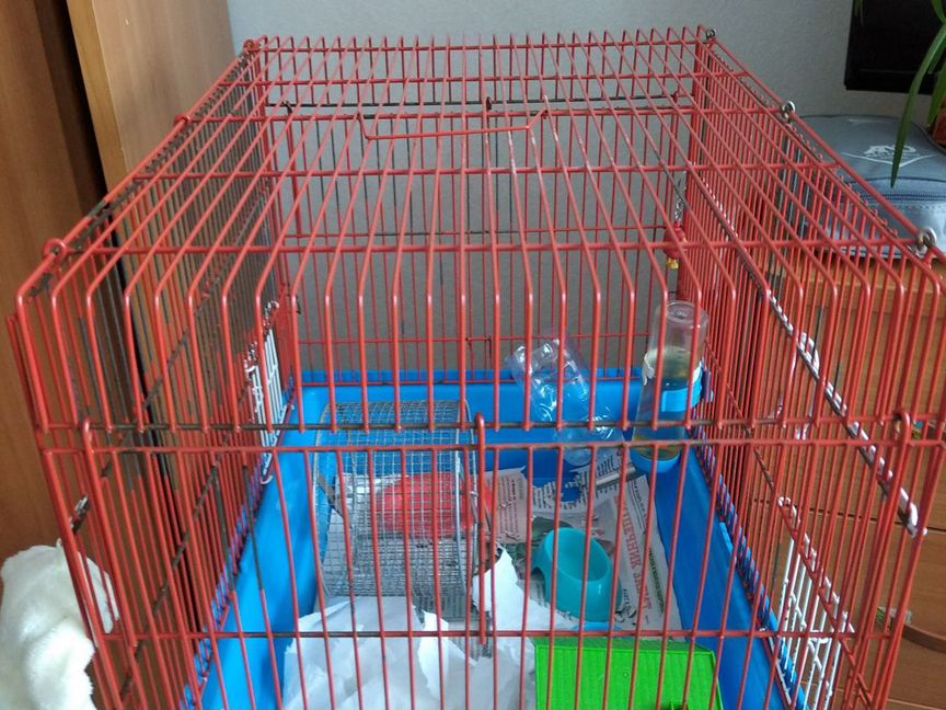Клетка для грызунов