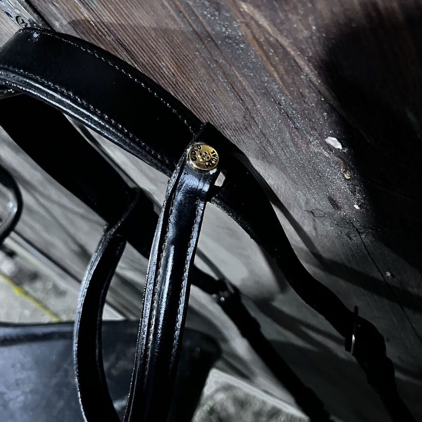 Уздечка для лошади