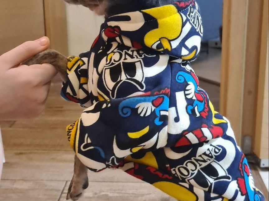 Одежда для собак мелких пород