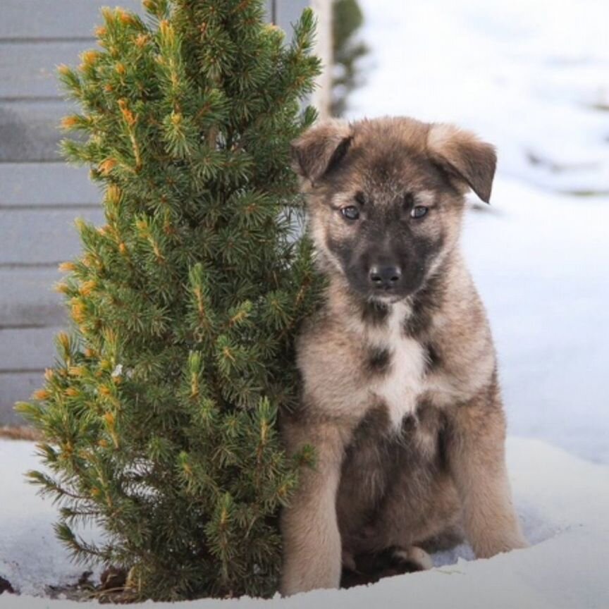 Хороший парень в добрые руки