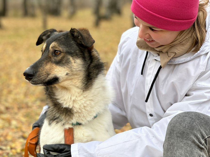 Игривый пёс Малыш