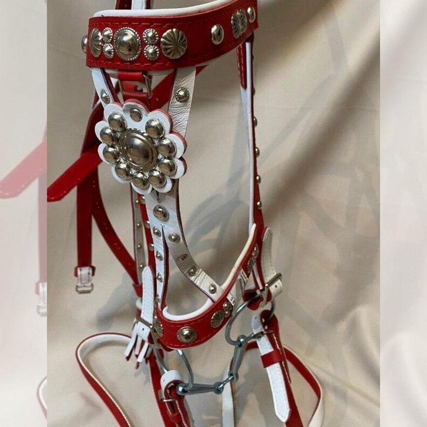 Узда для лошади