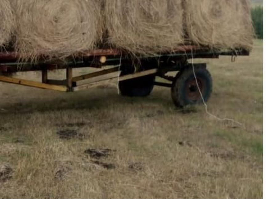 Продаю сено