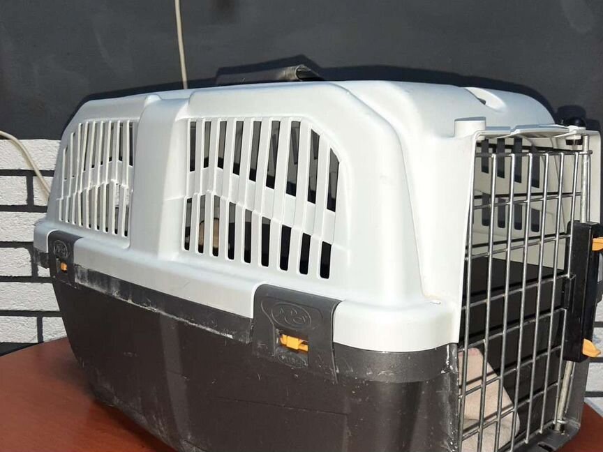 Аренда Переноска для кошек и собак