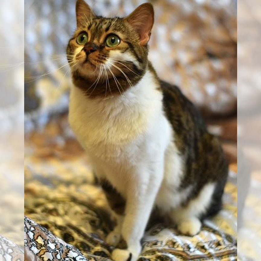 Мусенька, примерно 2,5 годика