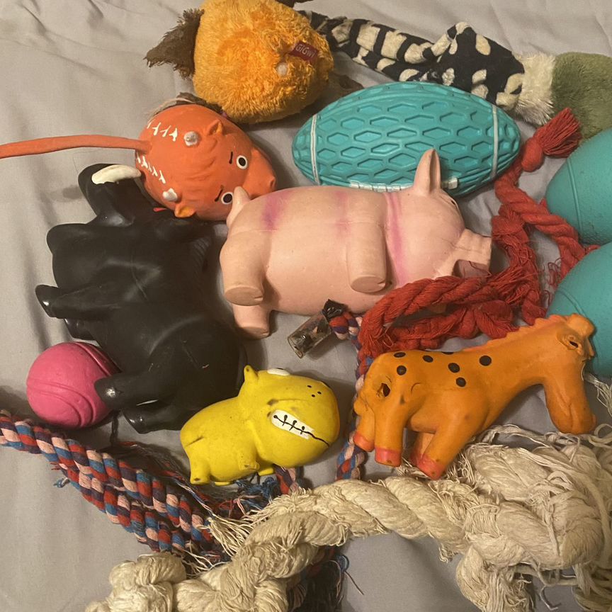 Игрушки для собак бу