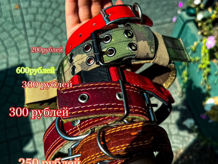 Ошейник для крупной собаки