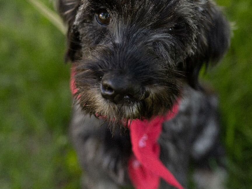 Малышка Виви с особенностью