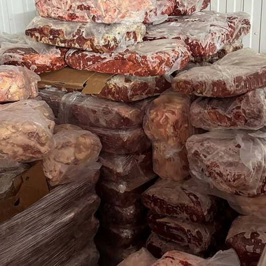 Корм для собак