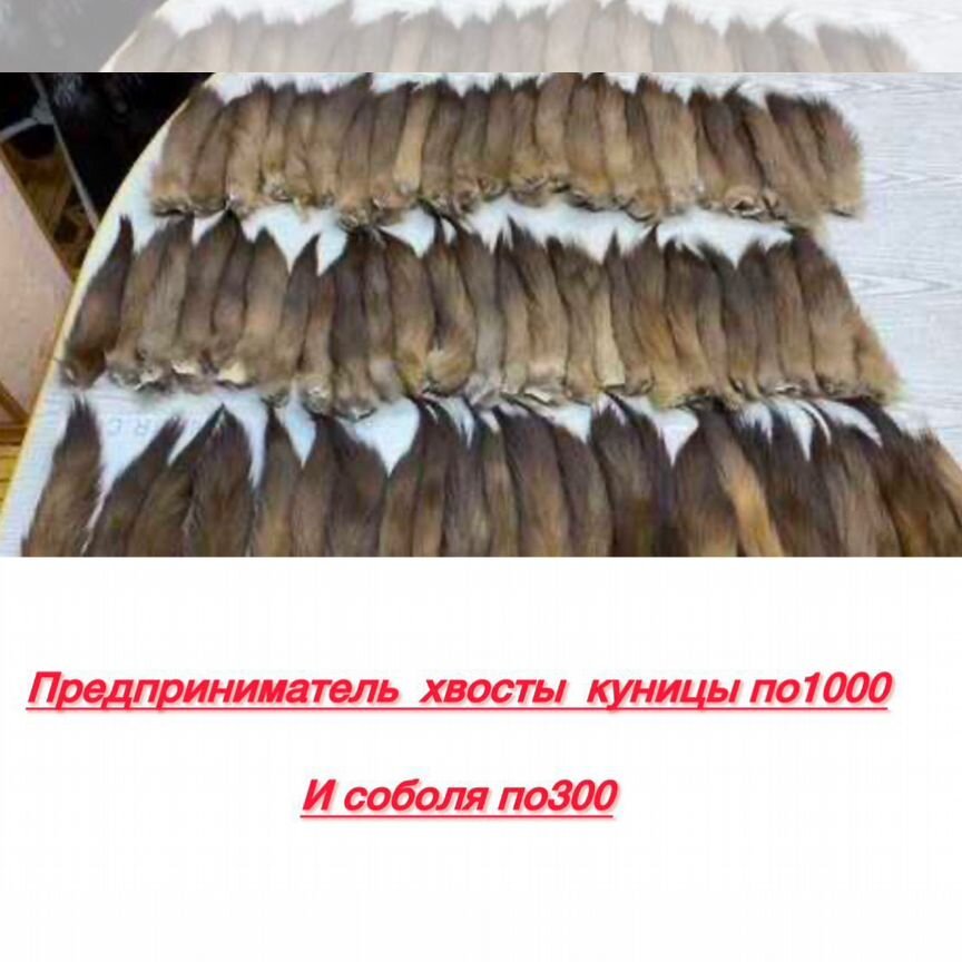 Хвосты куницы
