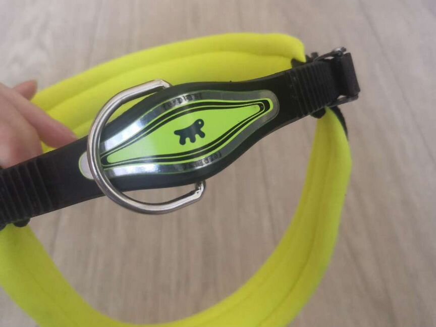 Шлейка для собак