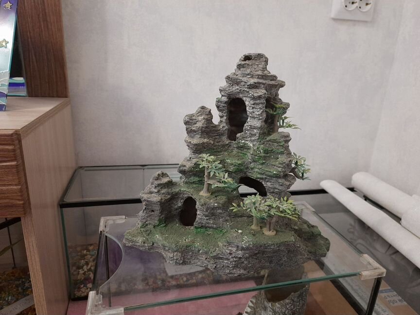 Оборудование и декор