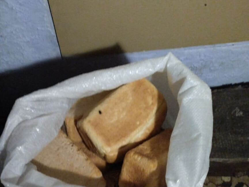 Хлеб на корм животным