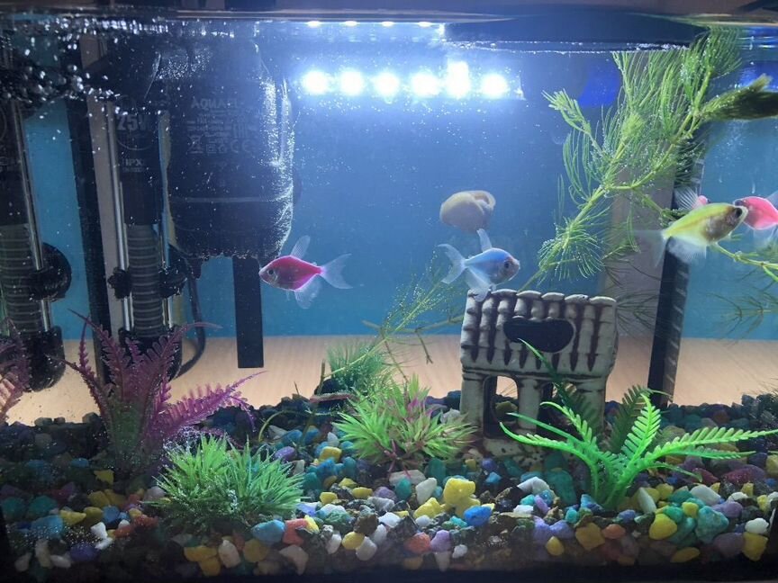 Аквариум с принадлежностями