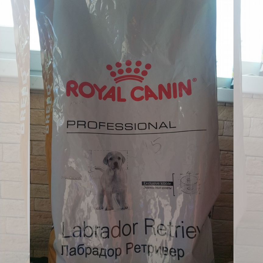 Сухой корм для собак royal canin