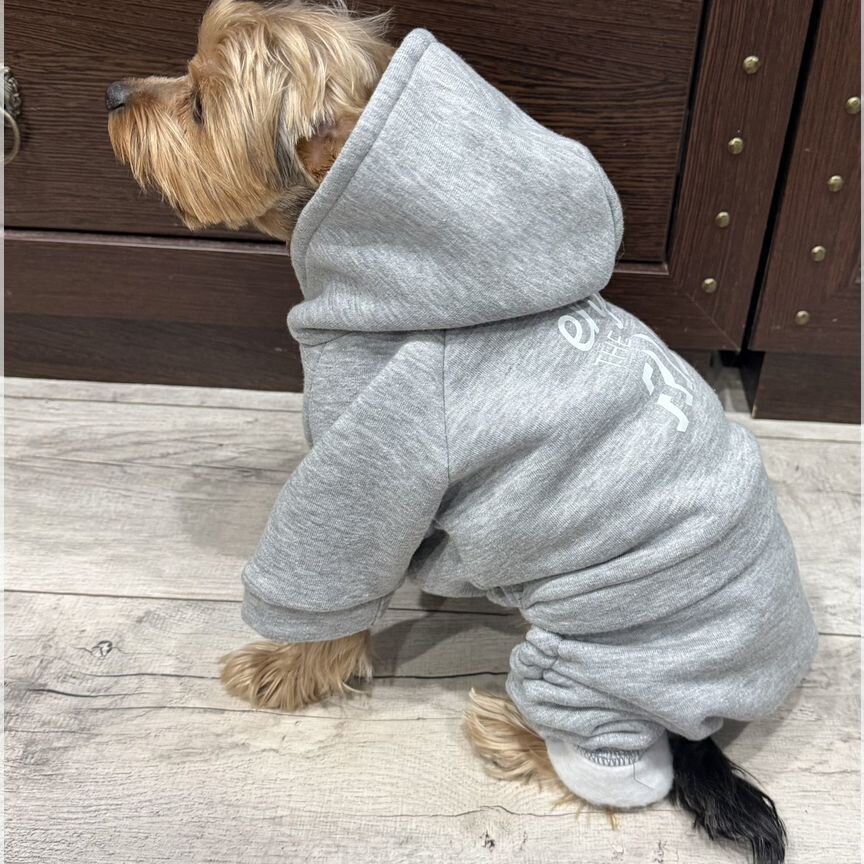 Одежда для собак