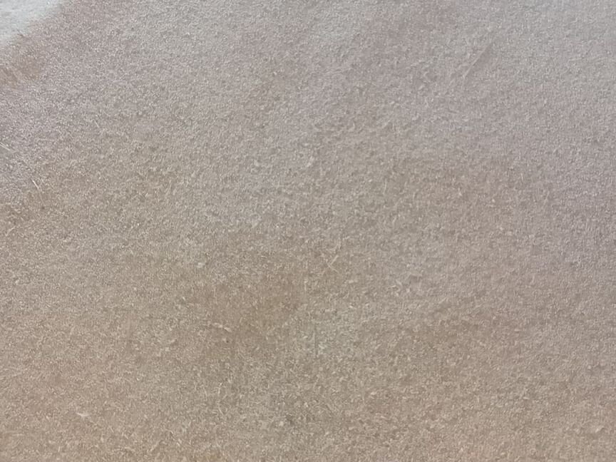 Пшеница бункерная