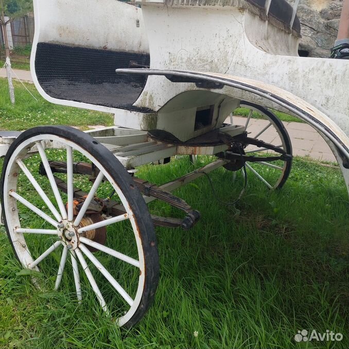 Лошадки Уникальное Жеребцы