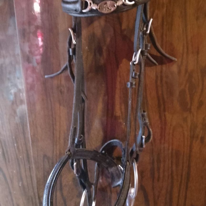 Уздечка, оголовье фулл